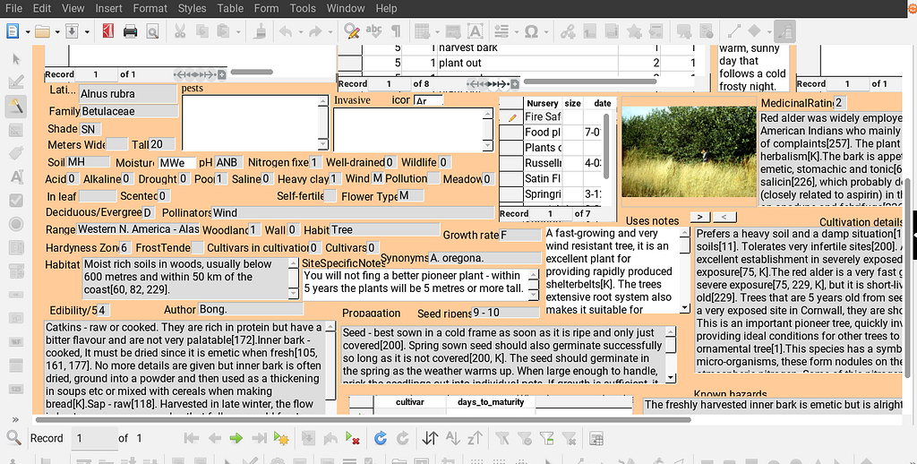 How to make table with image urls for database - English - Ask LibreOffice